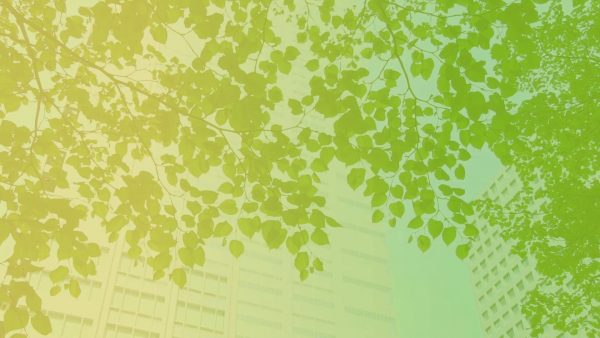 ENVI-met - Decode urban nature with Microclimate simulations